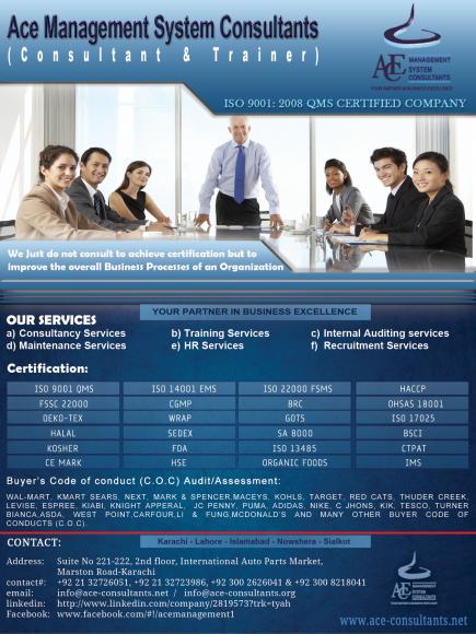 ACE MANAGEMENT SYSTEM CONSULTANTS