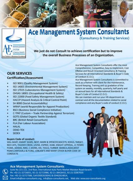 ACE MANAGEMENT SYSTEM CONSULTANTS